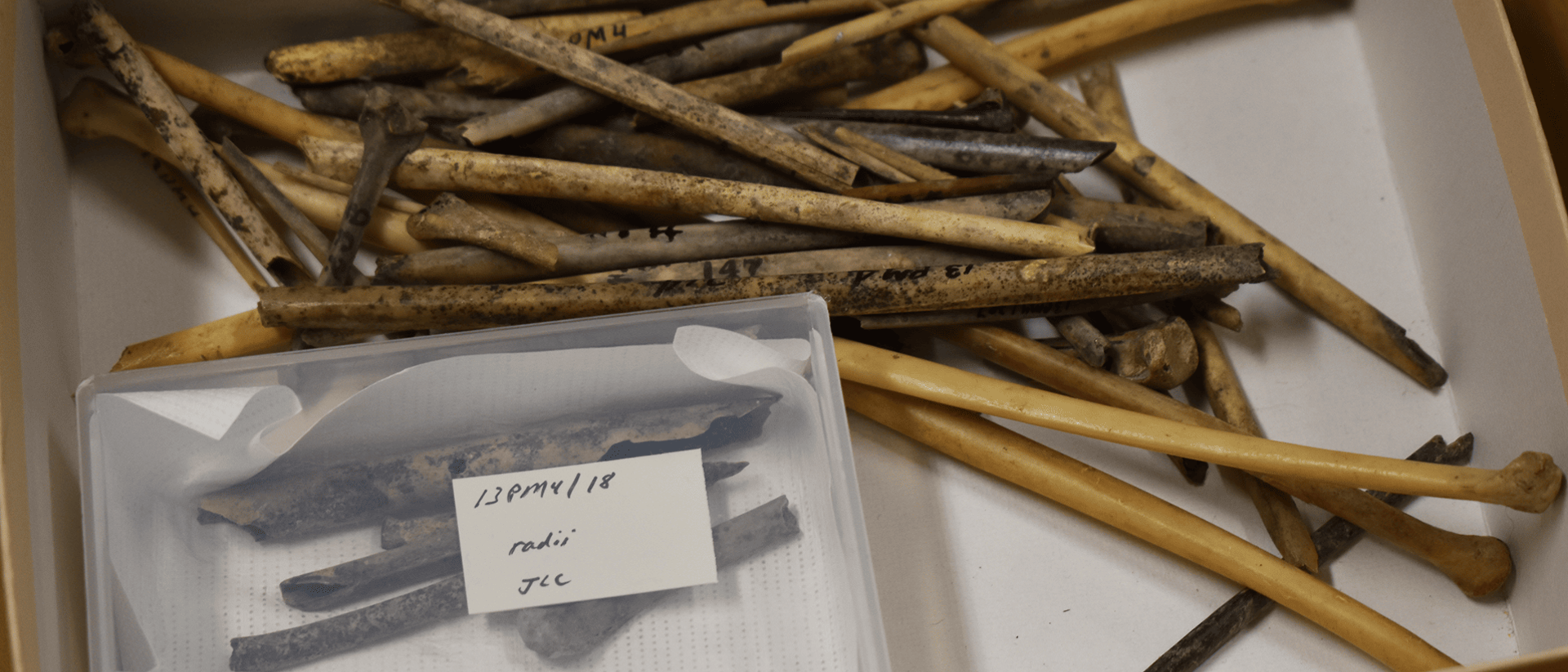 Laboratory Services | The Office of the State Archaeologist - Office of ...